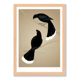 NZ Huia fine art print – Hansby Design