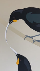 NZ Huia fine art print – Hansby Design