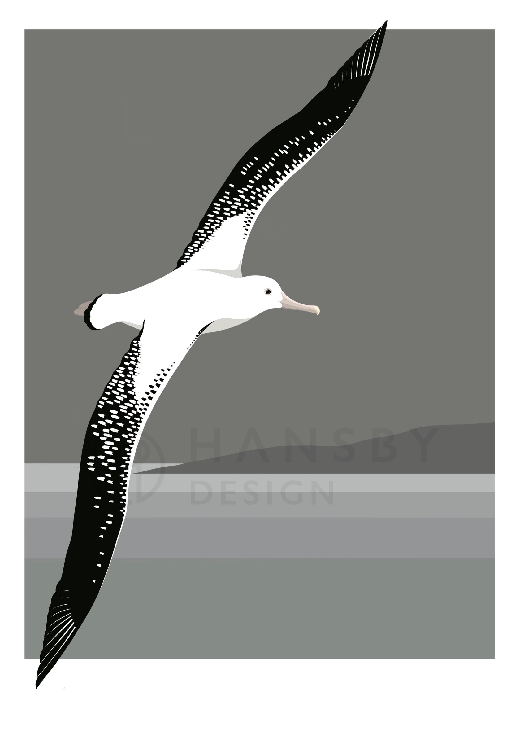 Antipodean Albatross Art Print – Hansby Design