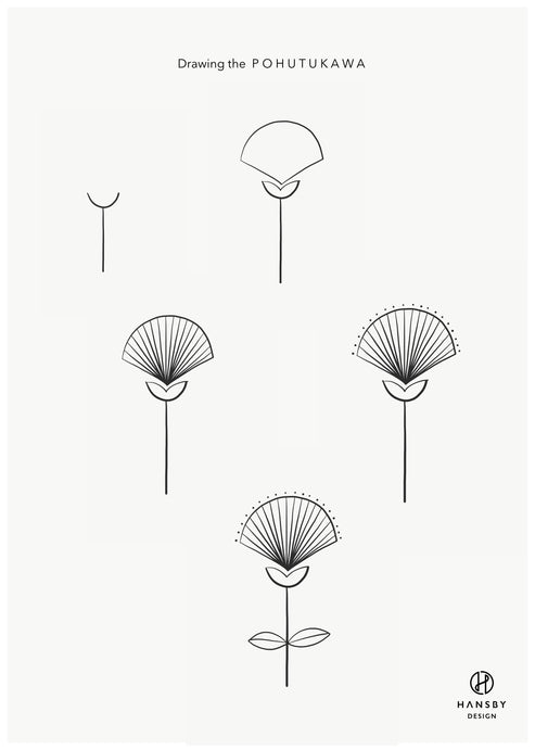 Drawing NZ Icons - Pohutukawa – Hansby Design