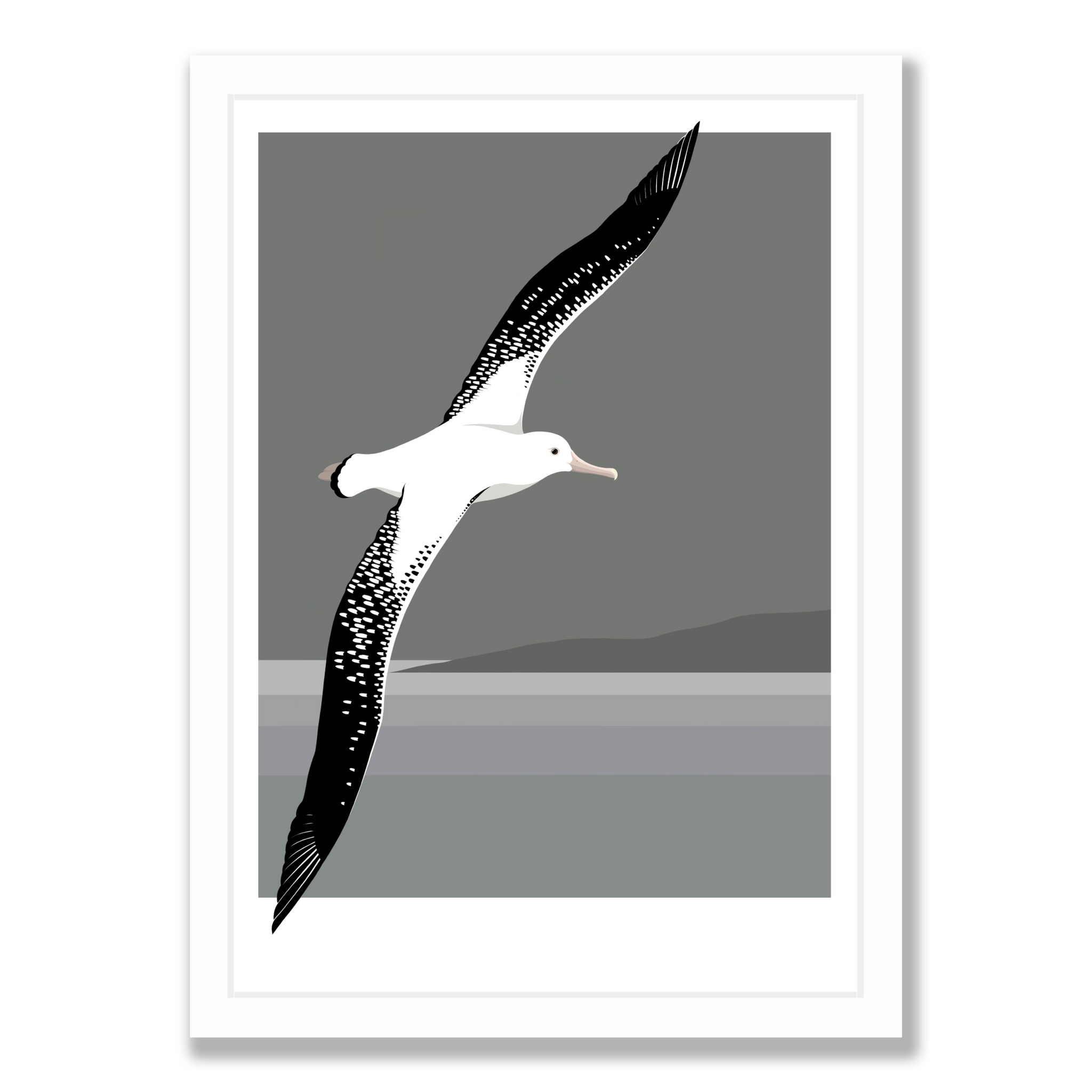 Antipodean Albatross Art Print – Hansby Design