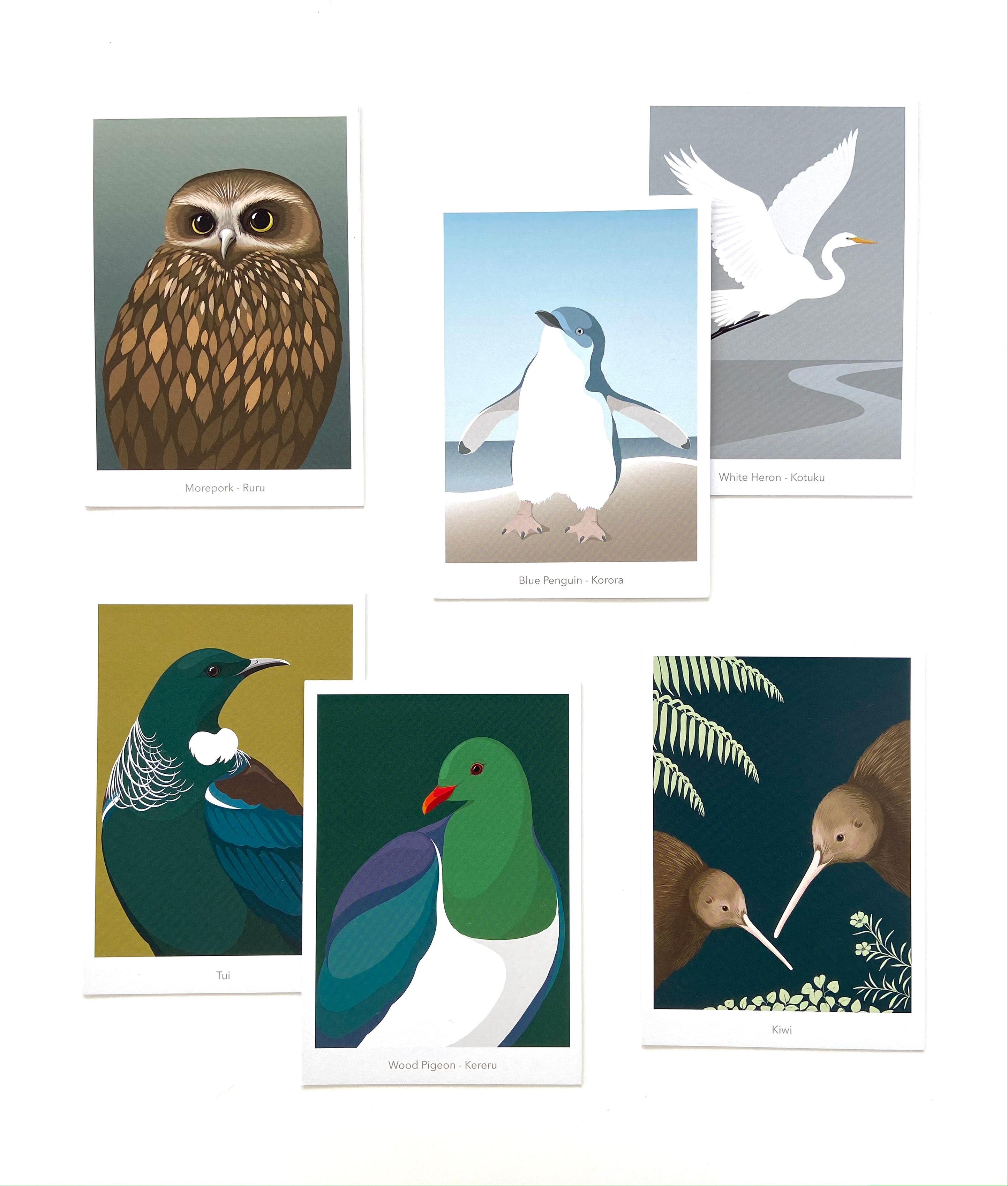 Postcards of New Zealand & Australasian birds – Hansby Design